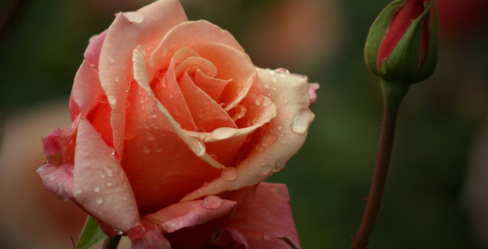 Turistička zajednica grada Velike Gorice - Odabrane najljepše ...