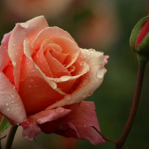 Turistička zajednica grada Velike Gorice - Odabrane najljepše ...